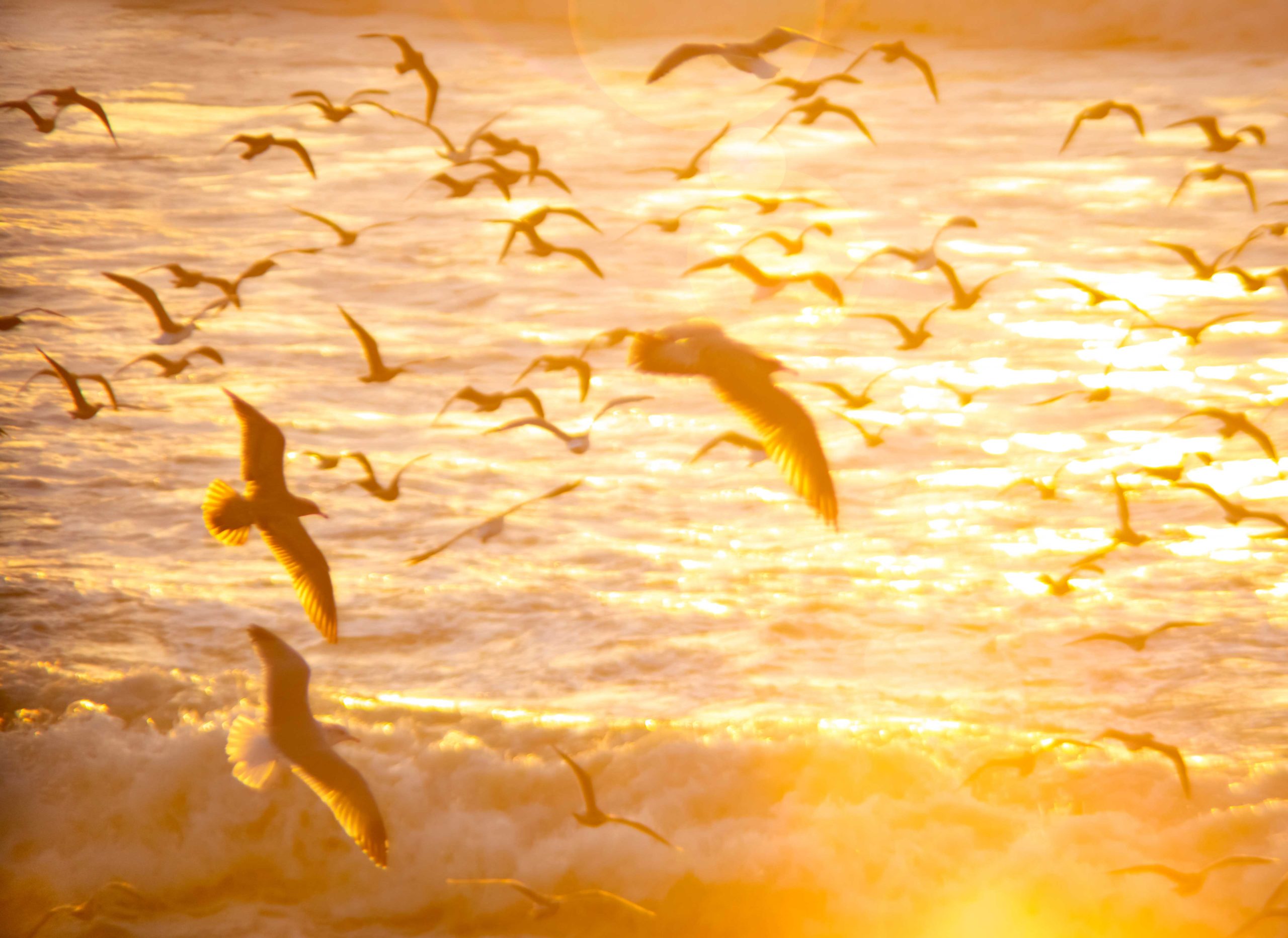 Ways to Give | The Marina Foundation